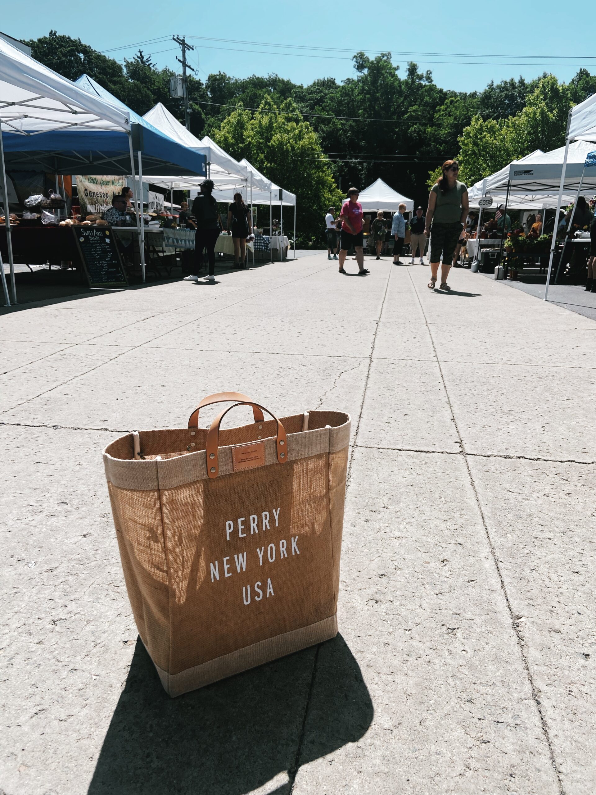 Perry, Ny: A Hidden Gem in Western New York | Dell Collective