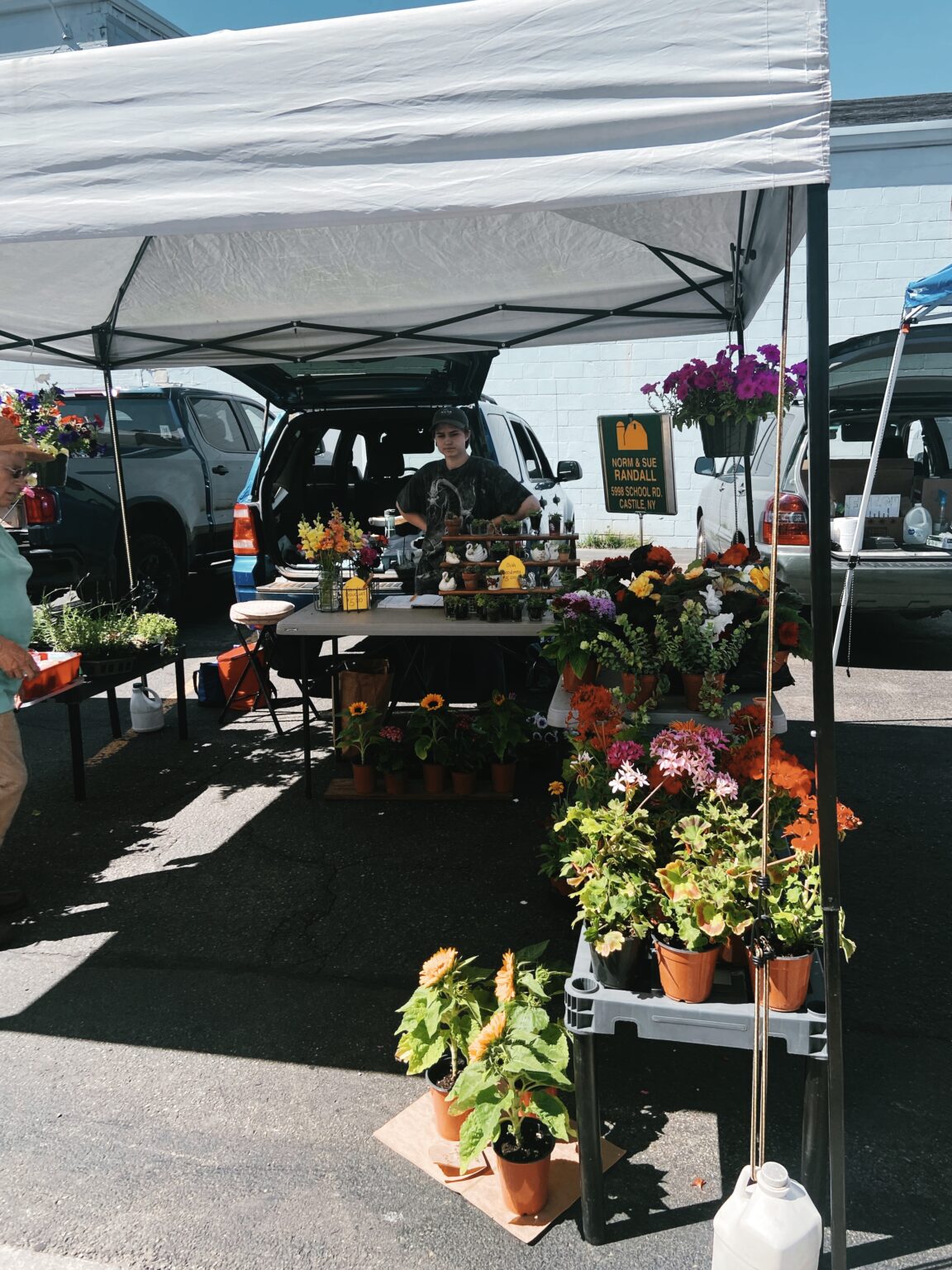 Perry, Ny: A Hidden Gem in Western New York | Dell Collective